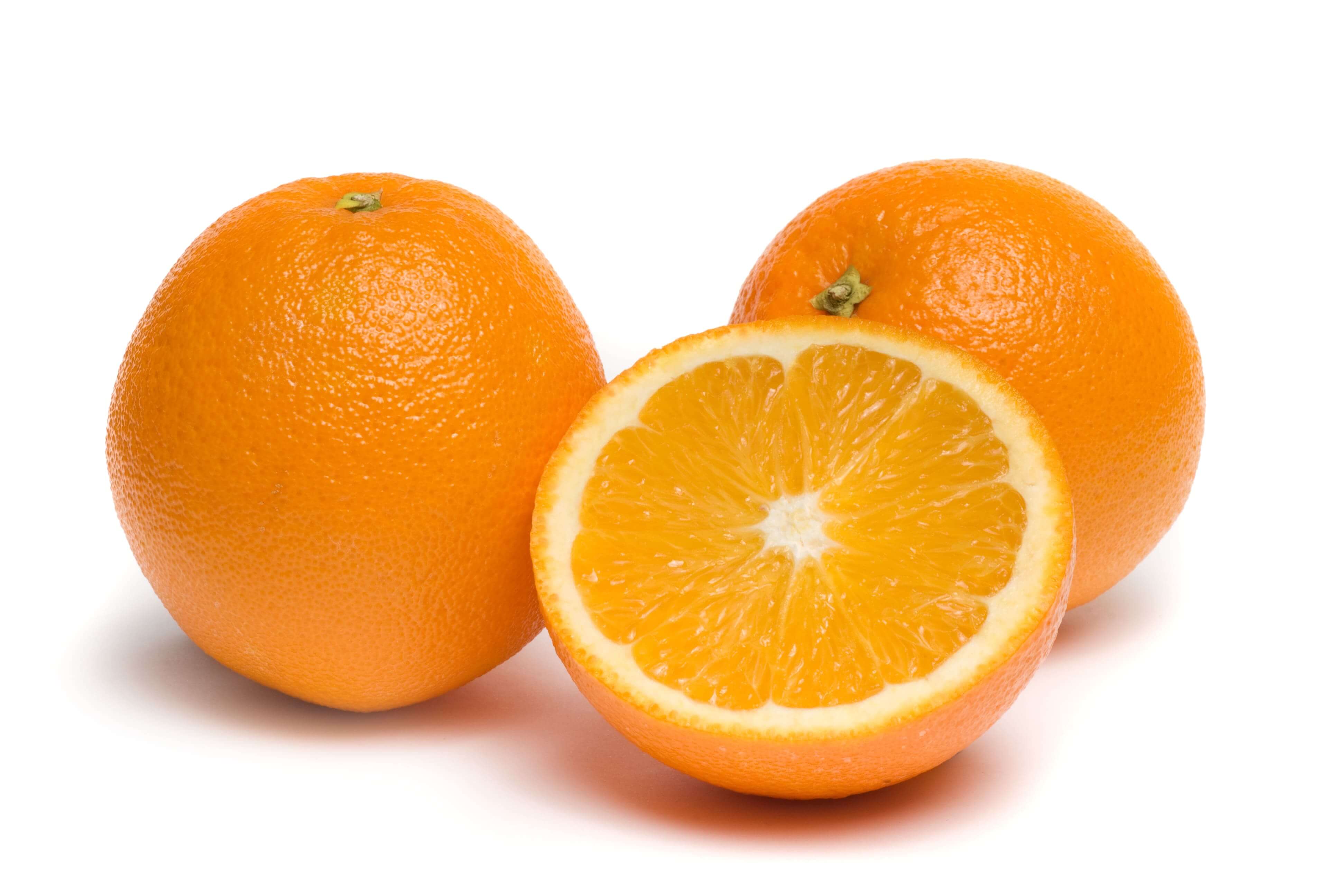 AGRUMES - etsmeseguer